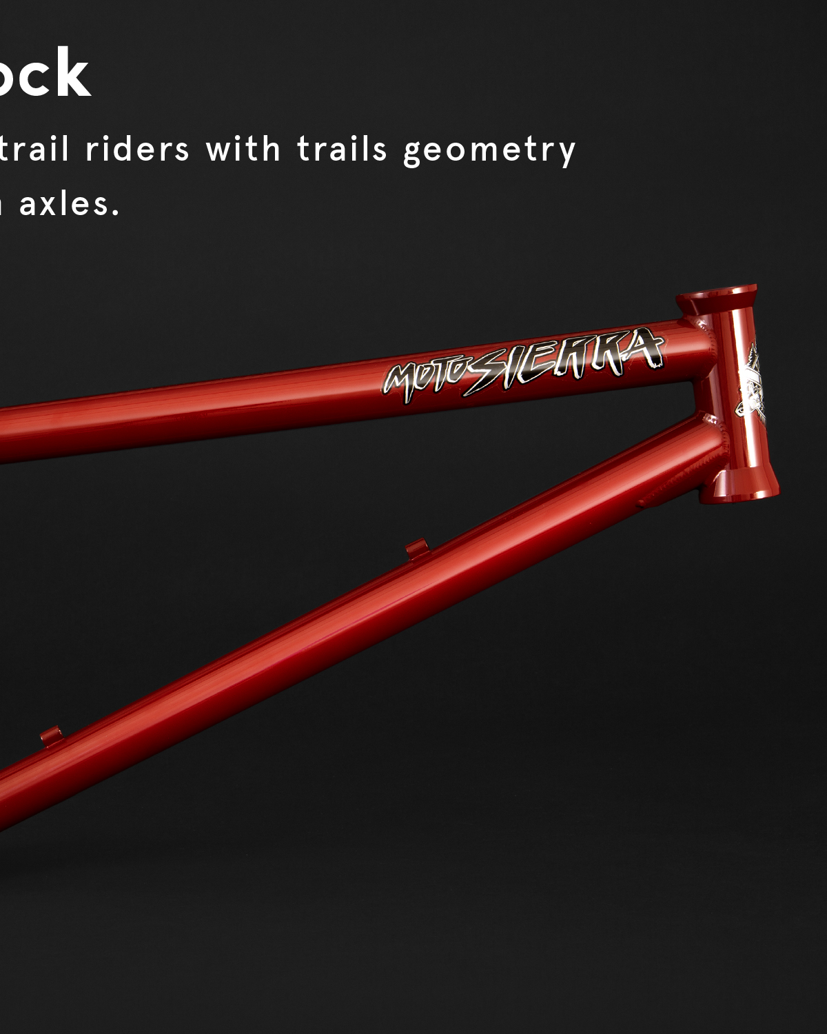 Flybikes BMX - BMX Brand since 1999