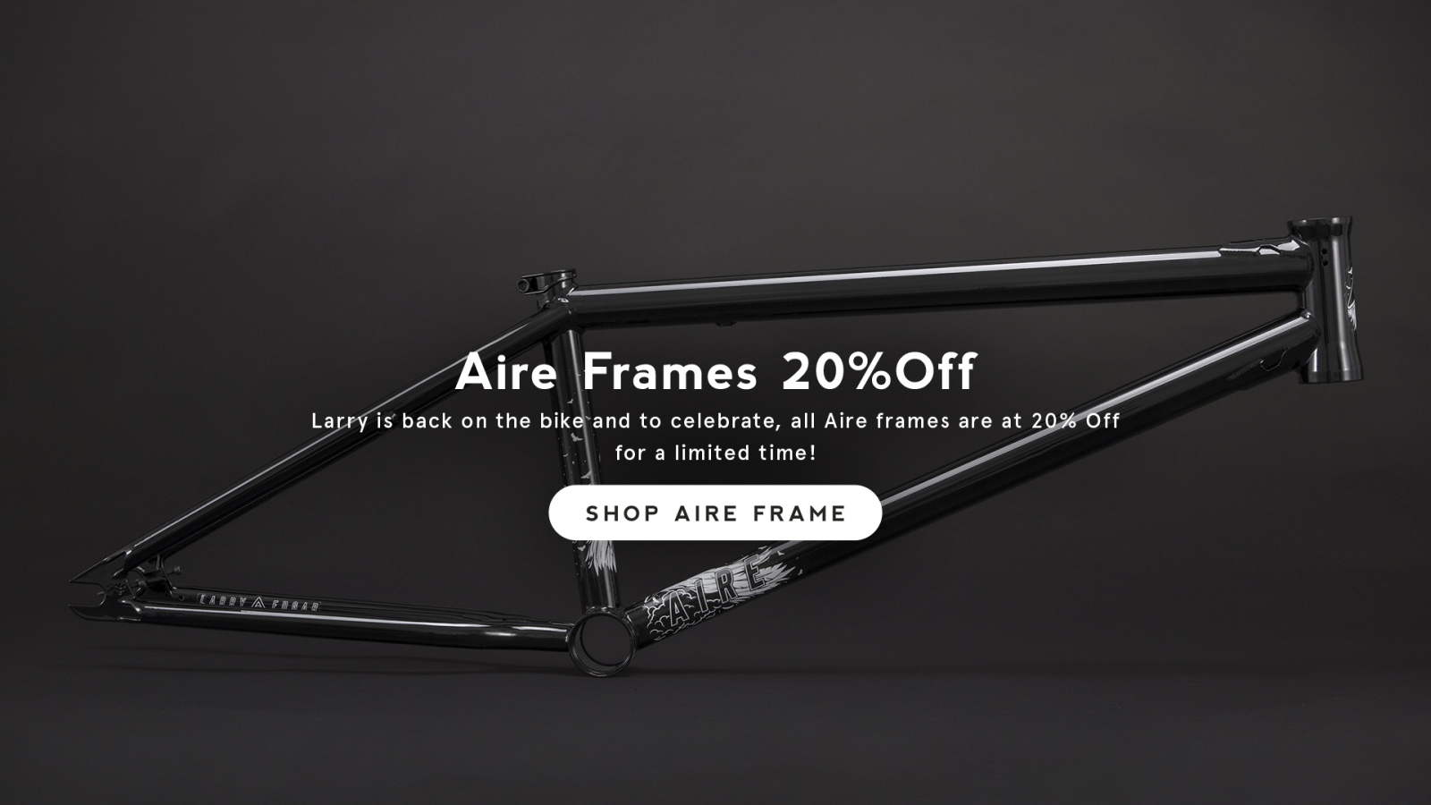 Flybikes BMX - BMX Brand since 1999