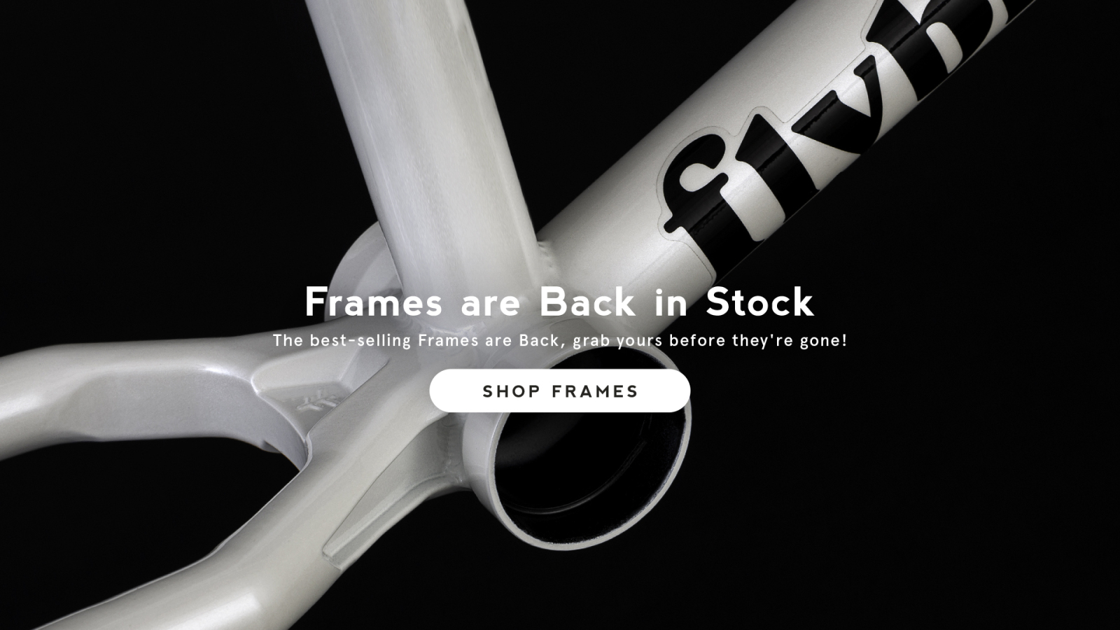 Flybikes BMX - BMX Brand since 1999