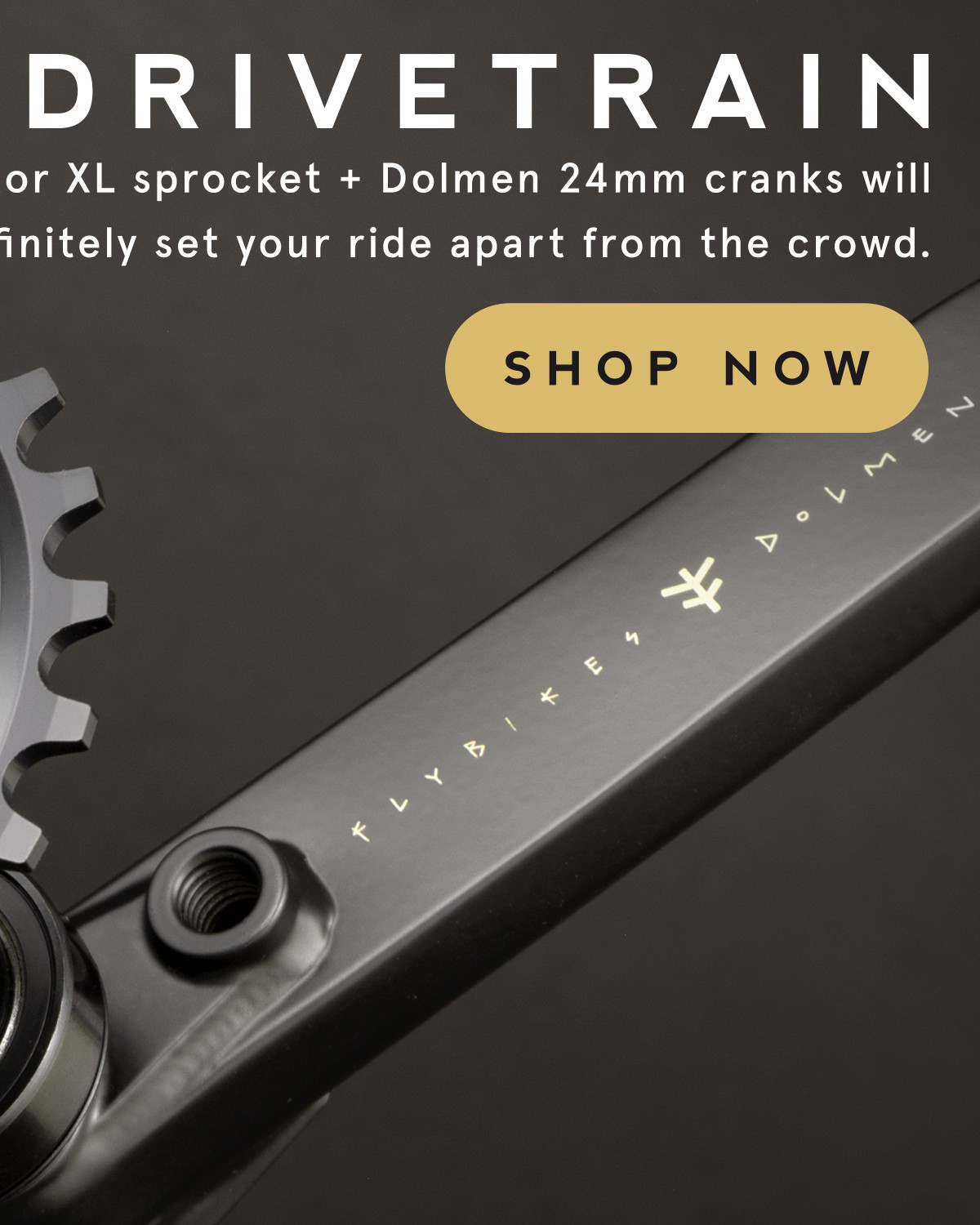 Flybikes - BMX Brand since 1999