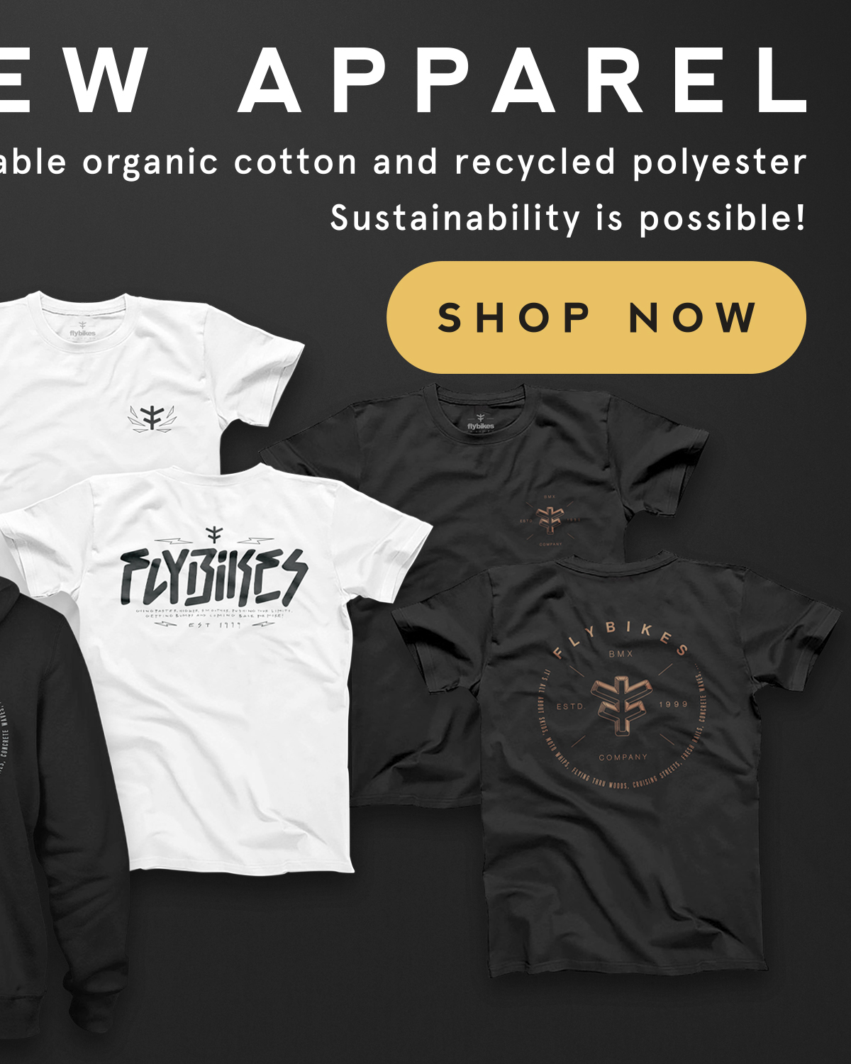 Flybikes - BMX Brand since 1999