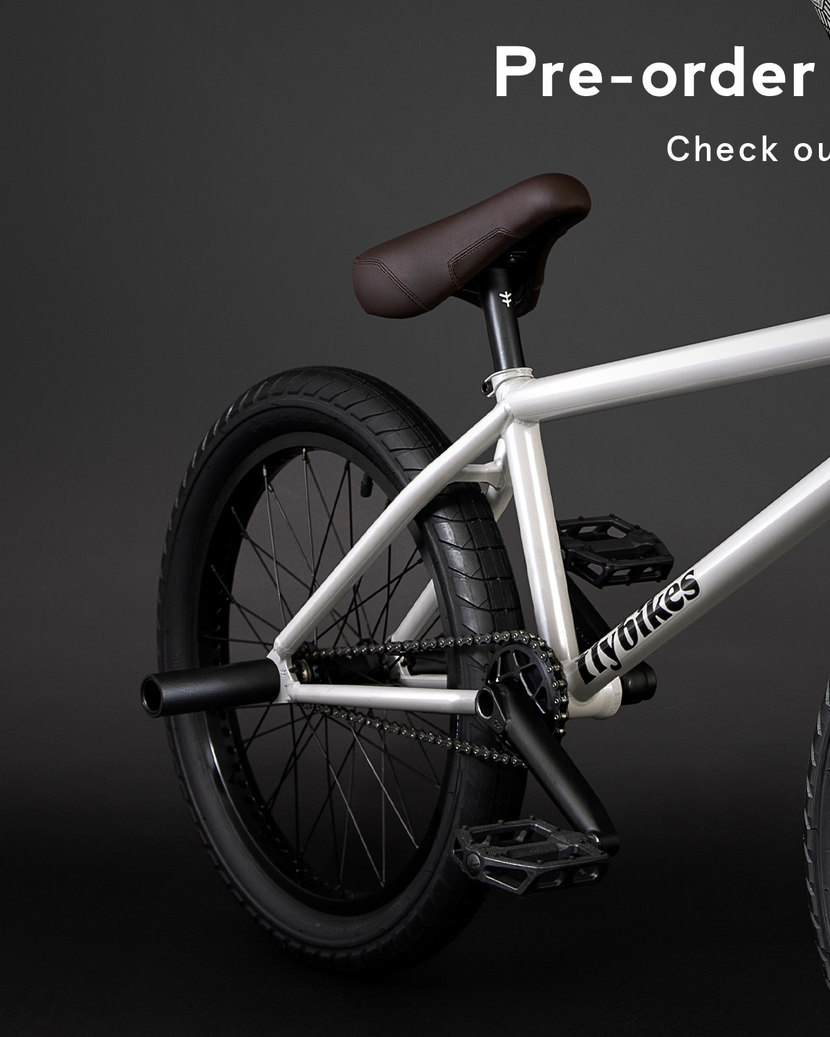 Flybikes BMX - BMX Brand since 1999