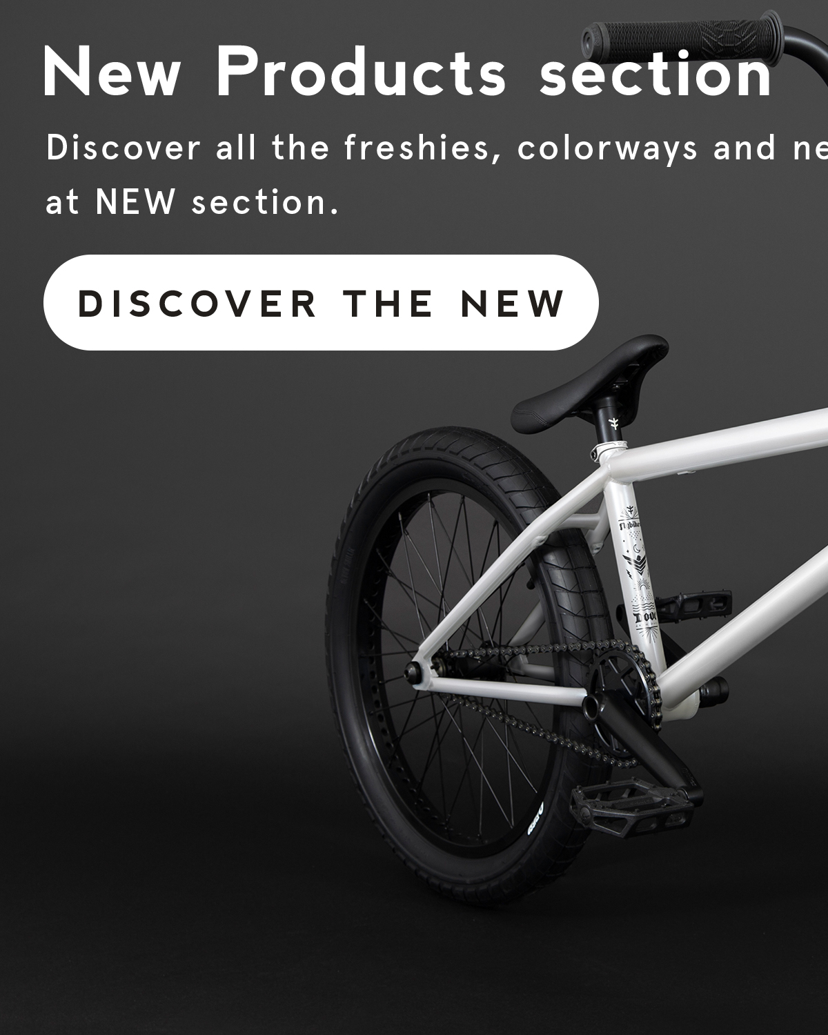 Flybikes BMX - BMX Brand since 1999