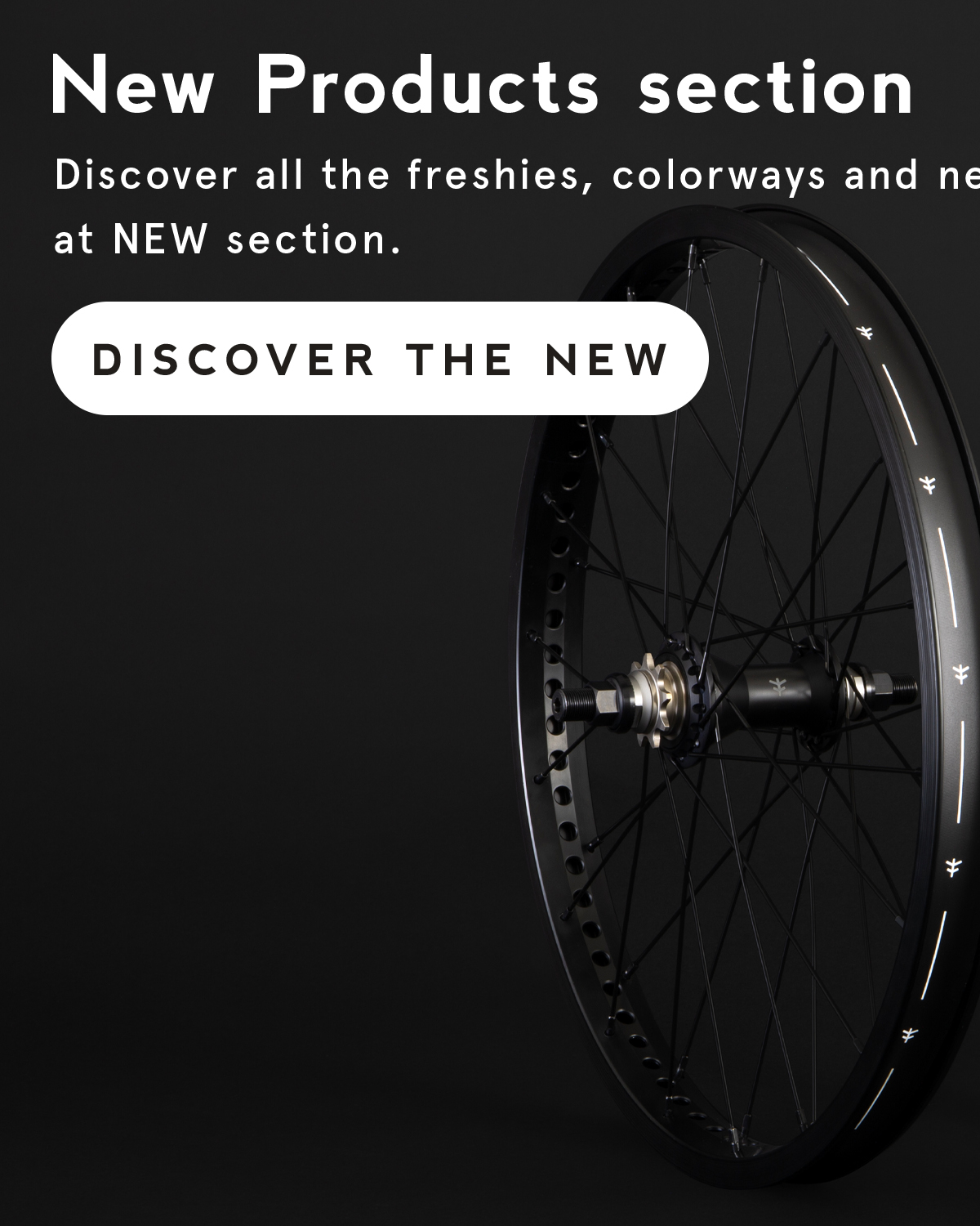 Flybikes BMX - BMX Brand since 1999